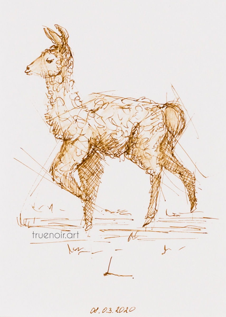 .044 Baby Llama, pen drawing - True Noir